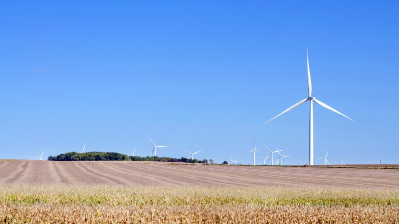 Home | Conservation MN